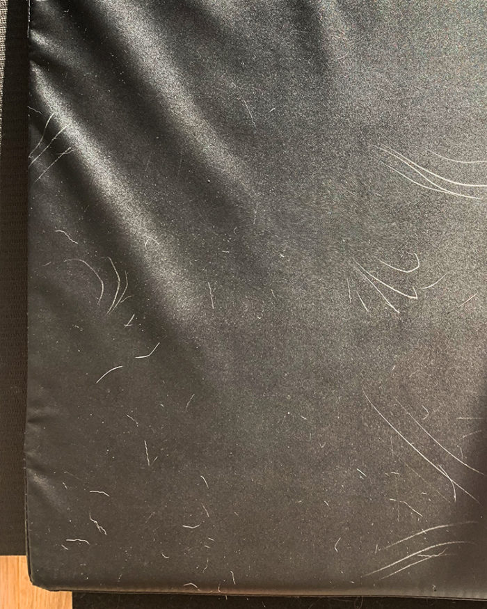 I Found The Best Cat-proof Yoga/Exercise Mat (With Updates!) - Aerial ...